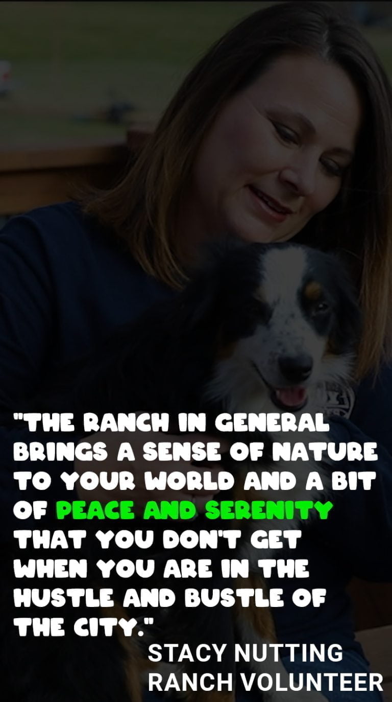 Scatter Joy Acres - Petting Zoo, Pet Adoption, Animal Therapy, and More ...